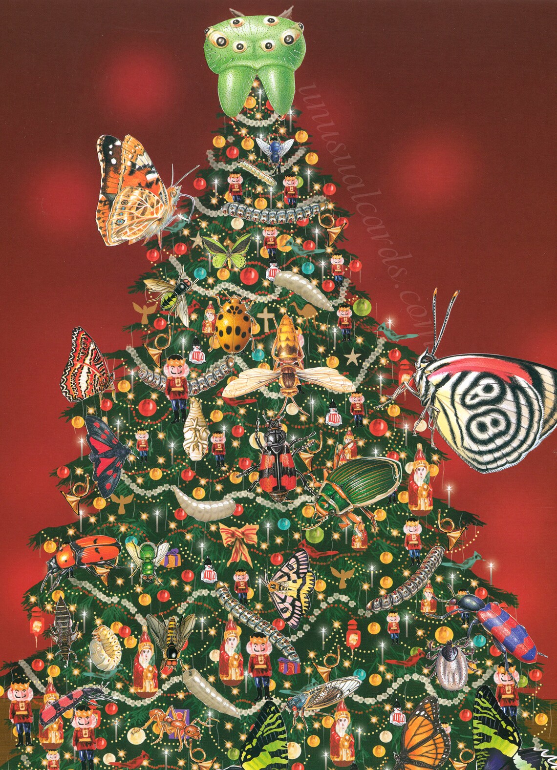 Infestmas - Seasonal Box Set of Insect Christmas Cards From Unusual ...