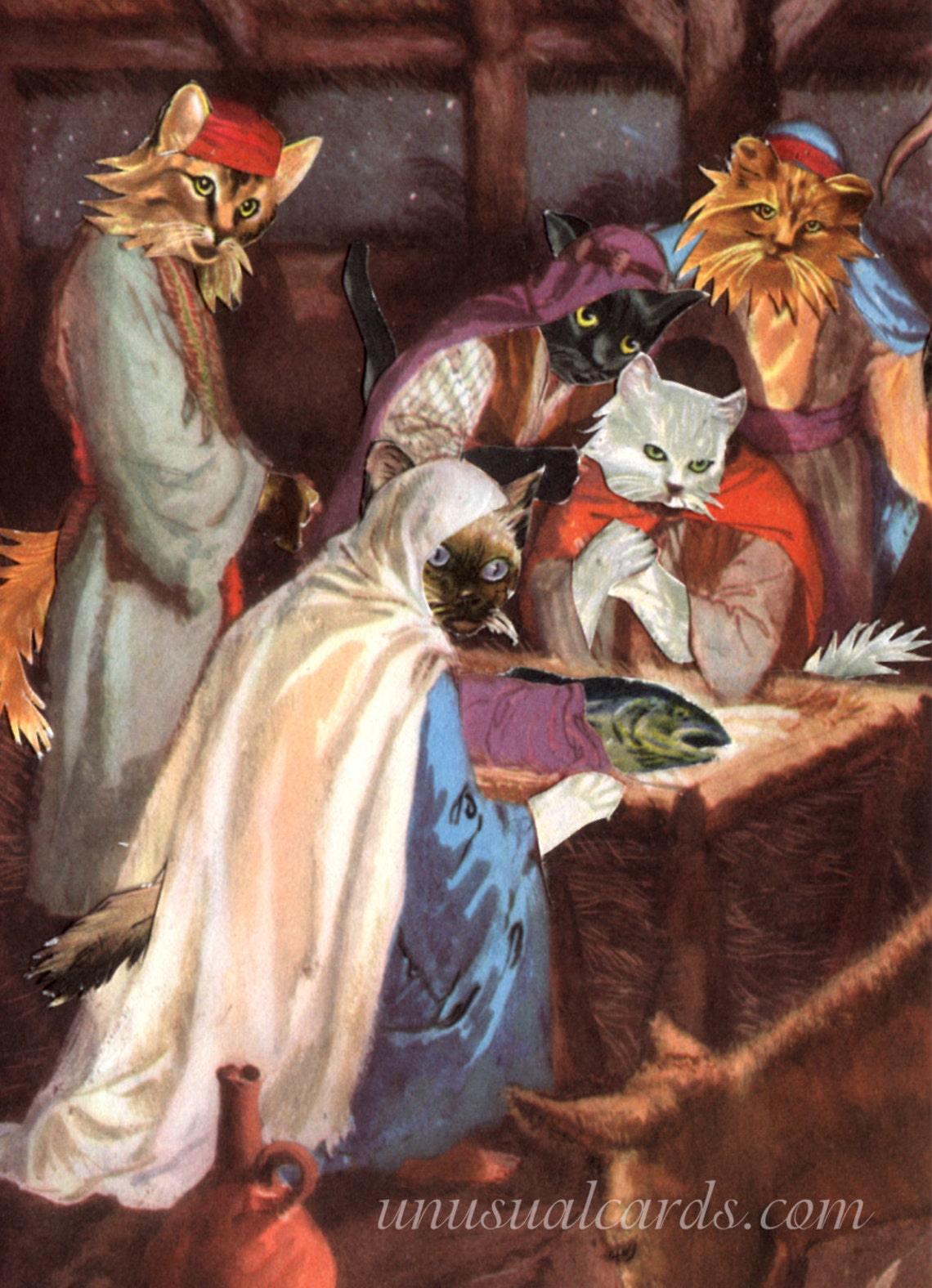 Feline Nativity - Seasonal Box Set of Cat -tastic Christmas Cards From ...