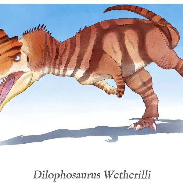 Dilophosaurus Poster - Etsy