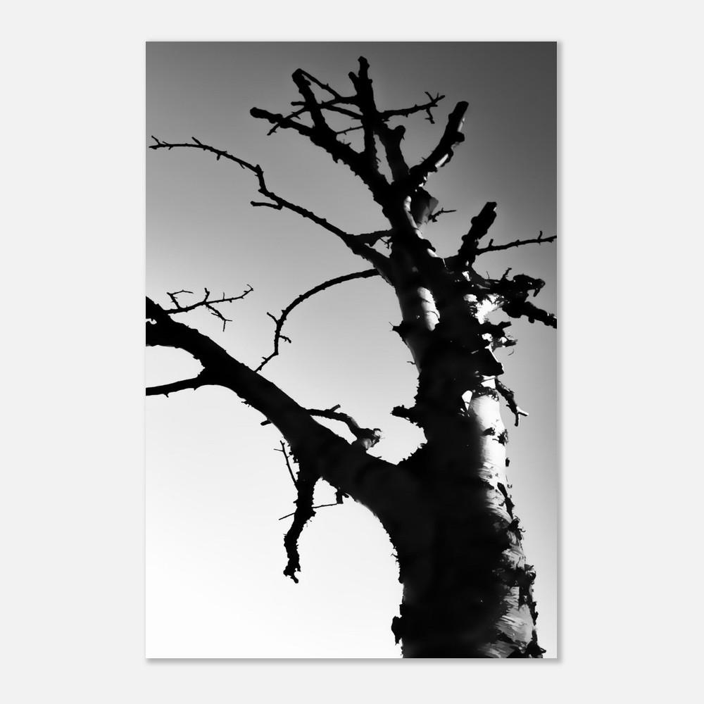 Spooky Tree Foam Board - Etsy