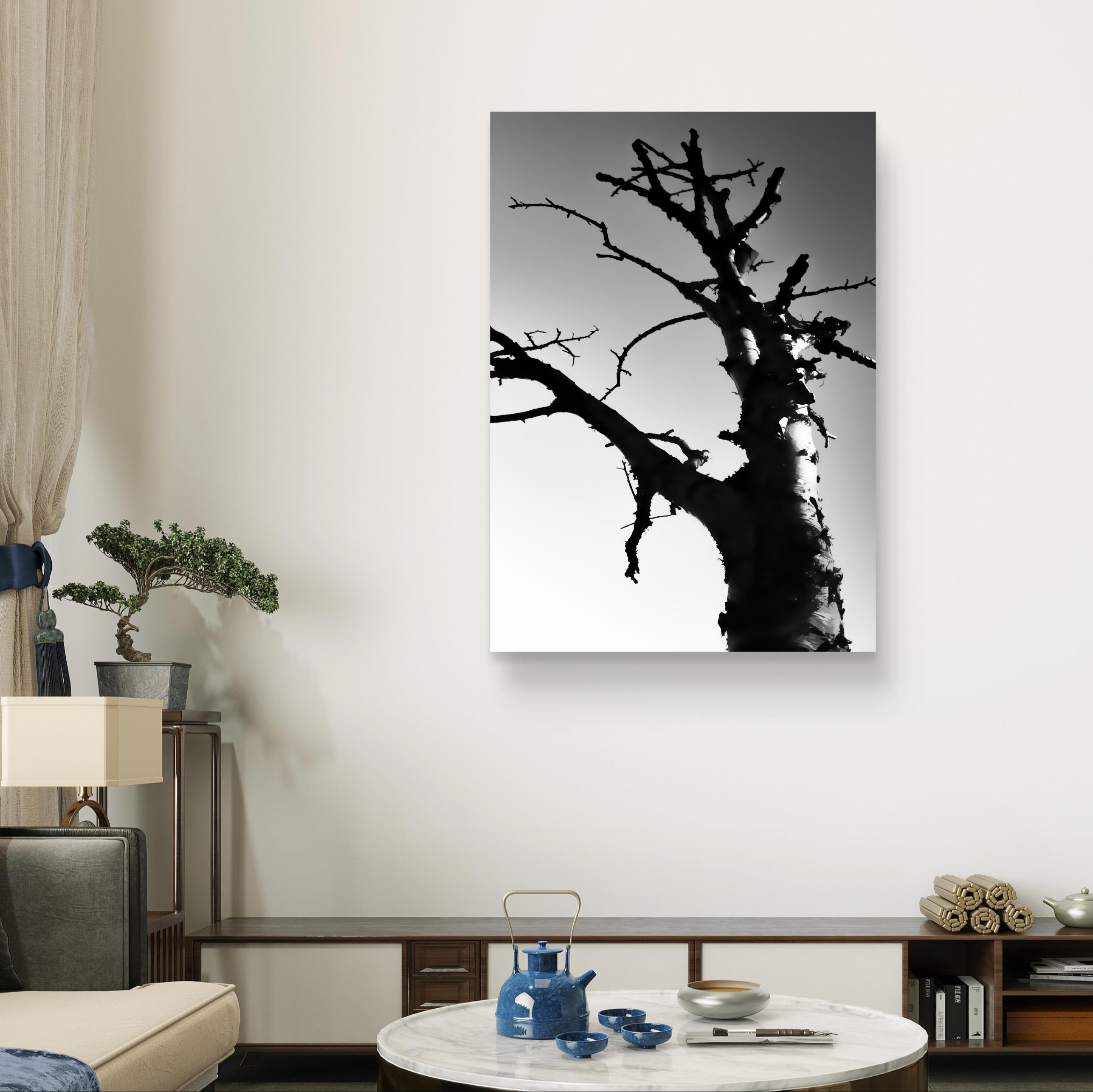 Spooky Tree Foam Board - Etsy