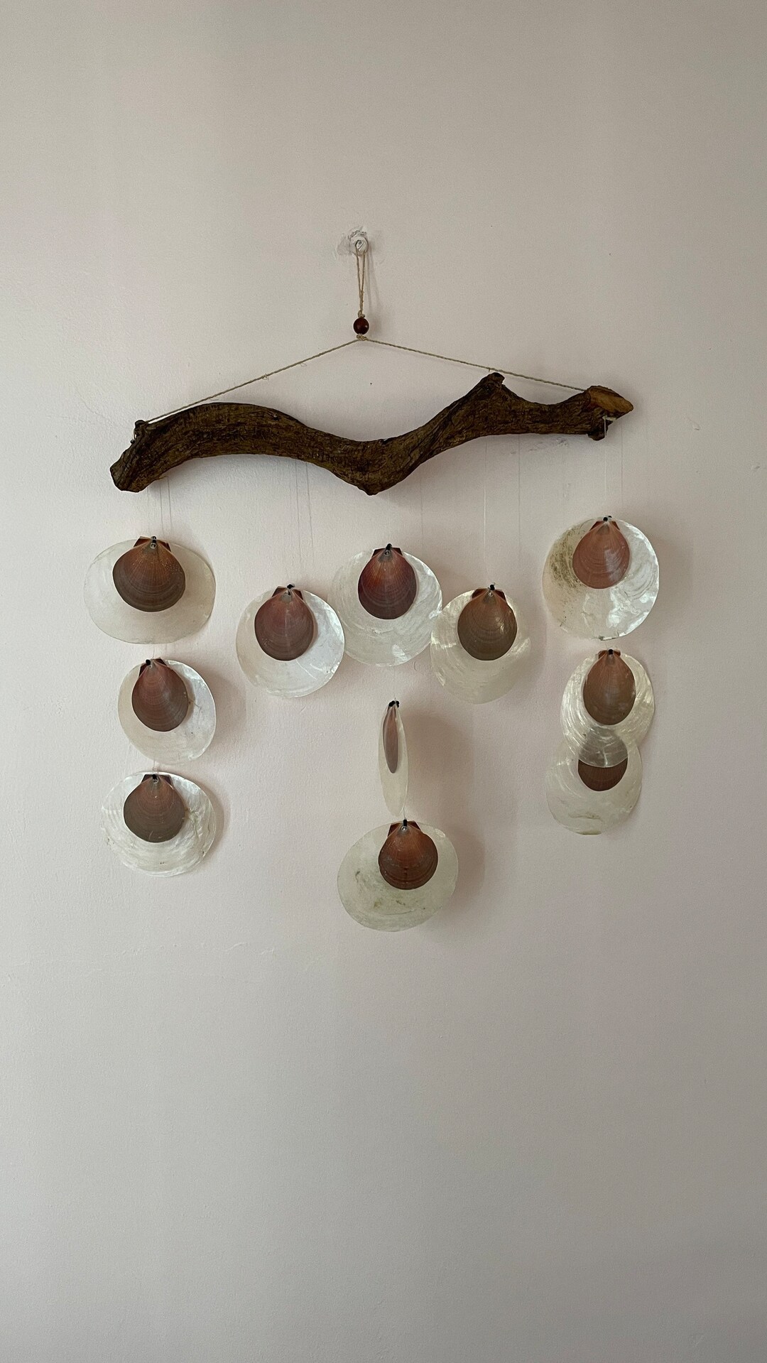 Vintage Driftwood & Shell Wall Hanging FREE SHIPPING - Etsy