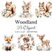 Woodland Animals Clipart – Cute Forest Creatures, Whimsical Animal ...