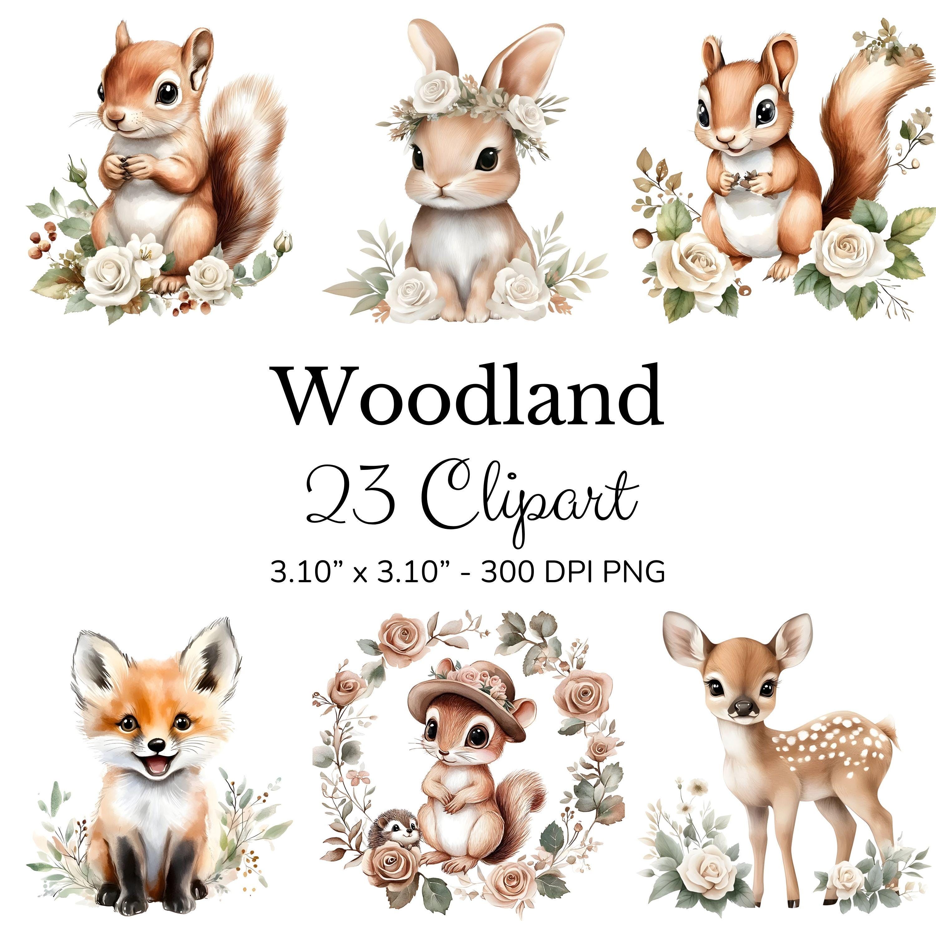 Woodland Animals Clipart – Cute Forest Creatures, Whimsical Animal ...