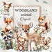 Woodland Animals Clipart – Cute Forest Creatures, Whimsical Animal ...