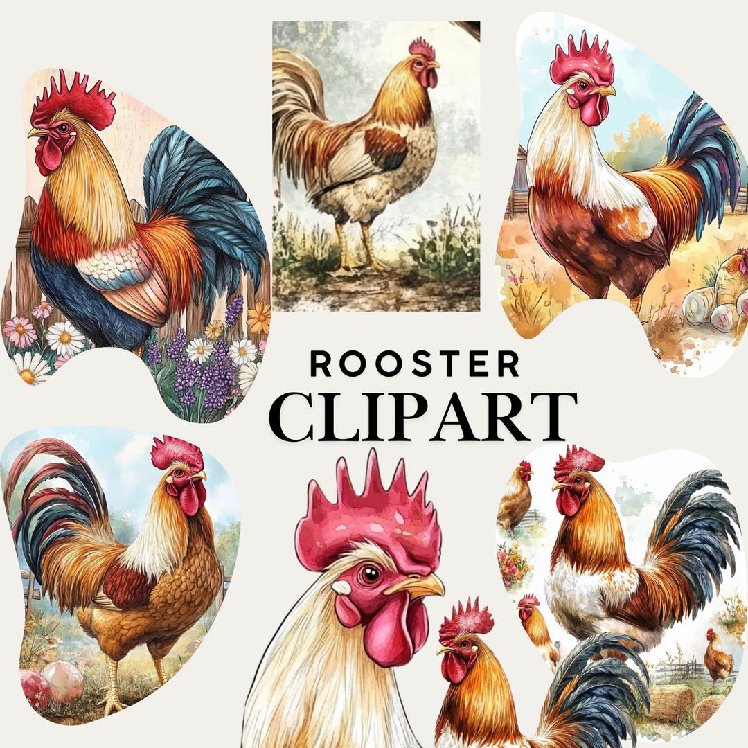 Rooster Farm Clipart - Etsy
