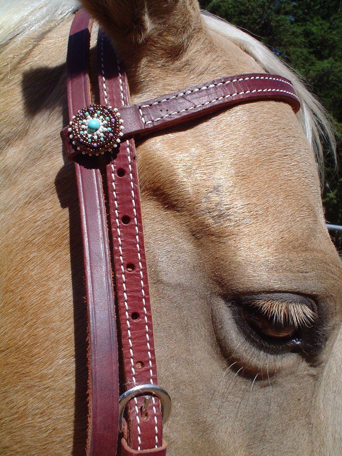 Seed Bead Turquoise Concho Horse Headstall Bridle - Etsy