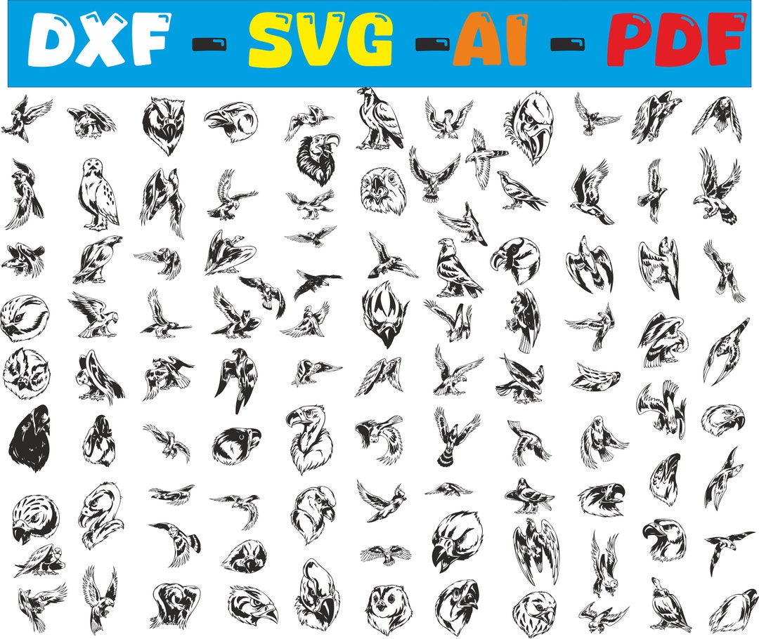 Bird Eagle Vector Drawing Dxf Svg Ai Download Now in Corel Photomats - Etsy