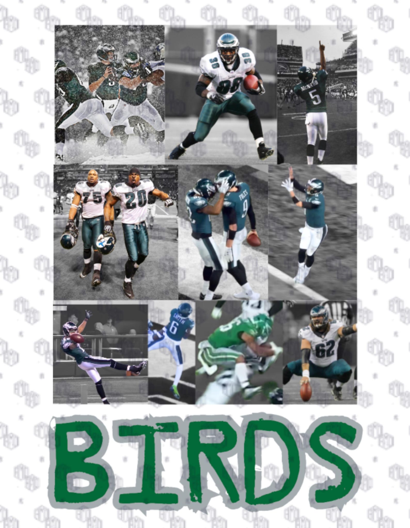 Philly Birds Famous Moments Philadelphia PNG Eagles - Etsy