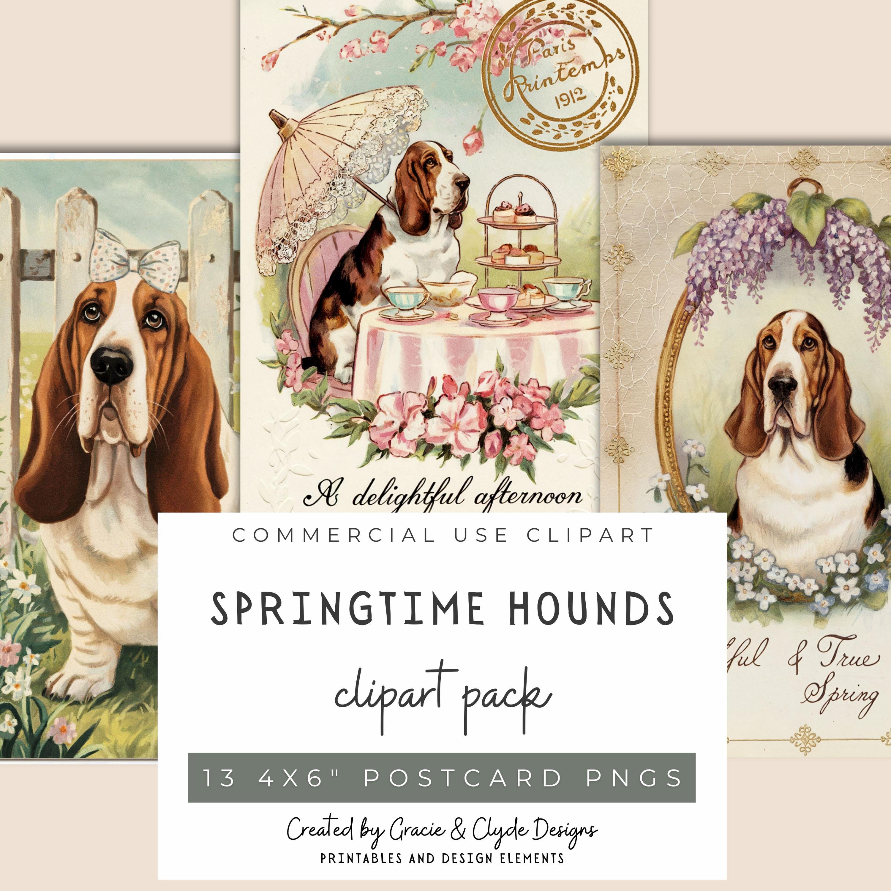 Springtime Hound, Vintage Basset Hound Postcards, 4x6” Antique Dog ...
