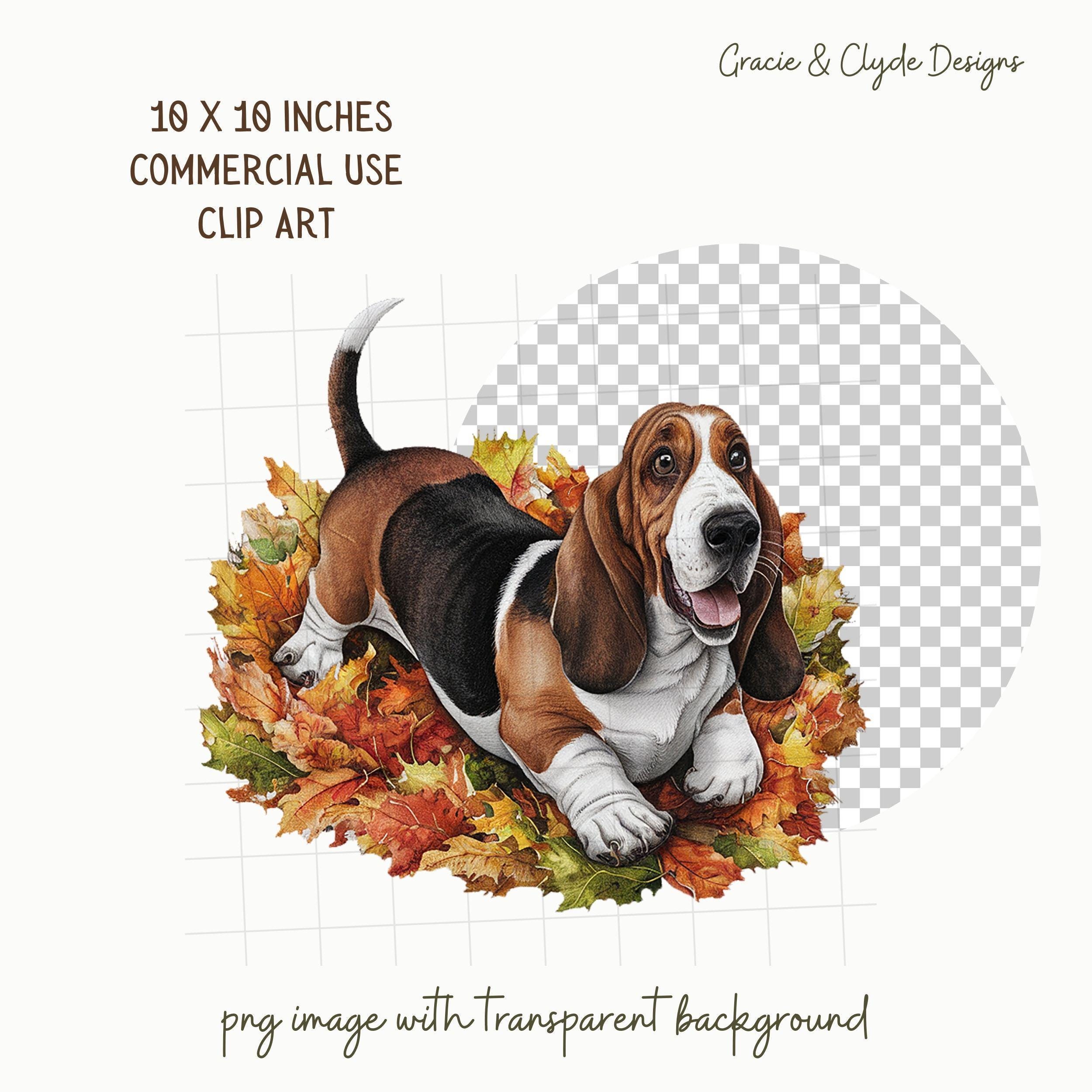 Watercolor Thankful Bassets Clipart Pack, 5 Pngs, Cute Dog Clipart ...