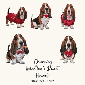 Valentine's Basset Hound Clip Art Set, 5 Pngs, Valentine's Day Clipart ...