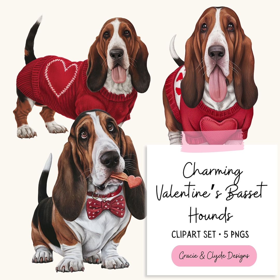 Valentine's Basset Hound Clip Art Set, 5 Pngs, Valentine's Day Clipart ...