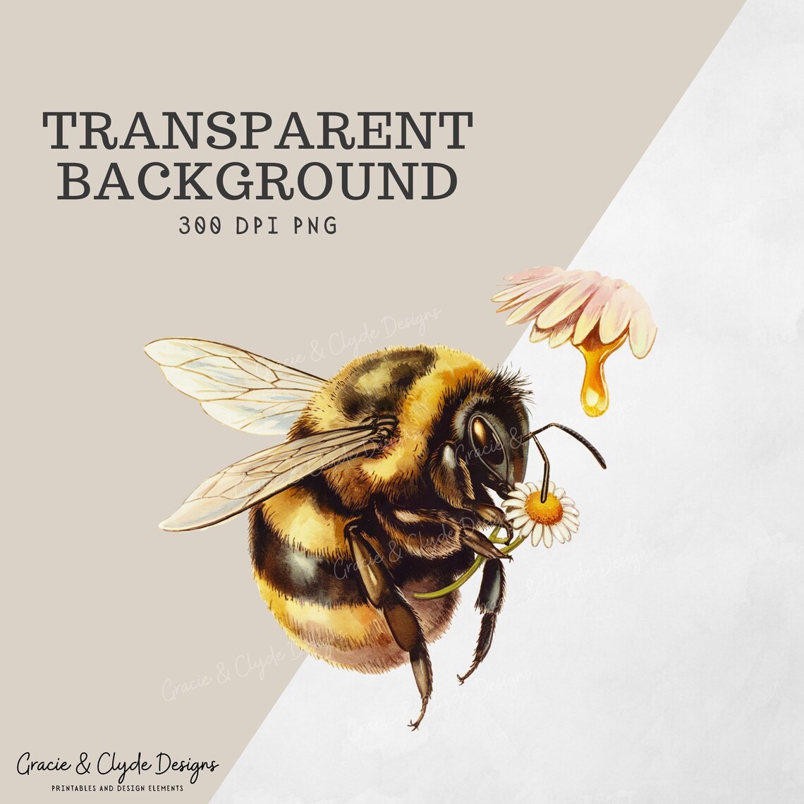 Buzz & Blossom Bee Clipart | Watercolor Honeybee With Flower PNG ...
