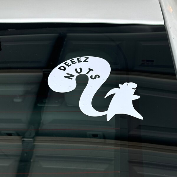 Deez Nuts Decal - Etsy