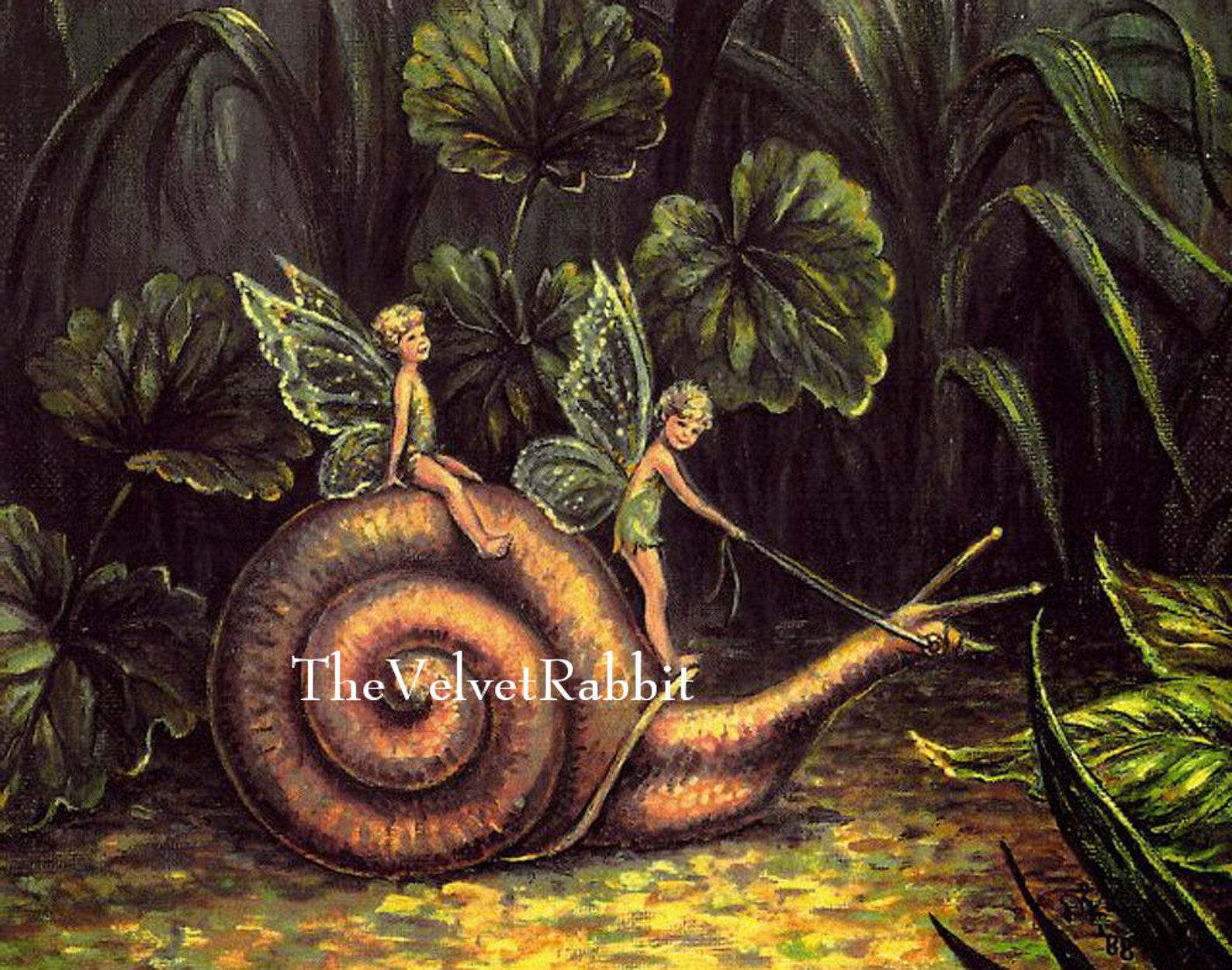 Fairy Fairies Fantasy Fairies Ride Snail.great Image.instant Digital ...