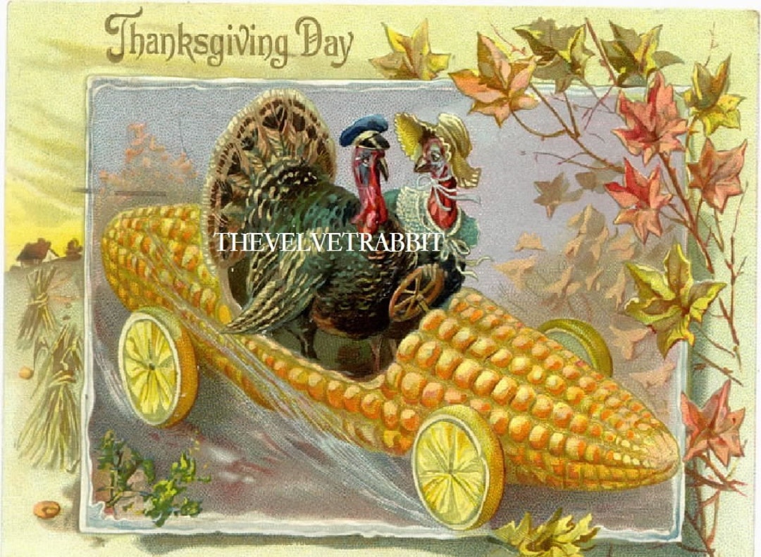 Thanksgiving Turkeys in a Corn Car Vintage Style Postcrds16 Total With ...