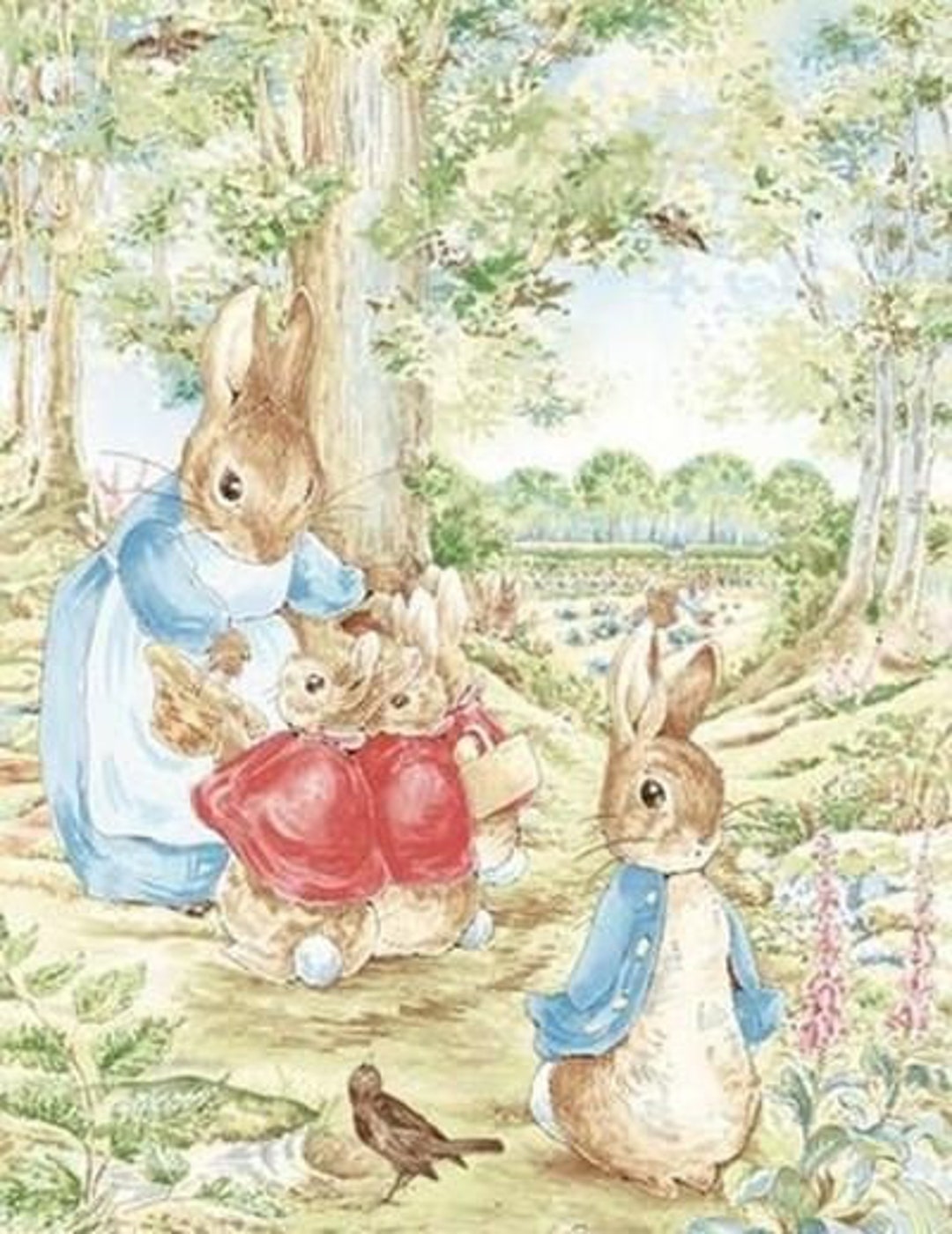 Beatrix Potter Family Ee*multi Sizes*pillows*sachets*door Dazzler ...