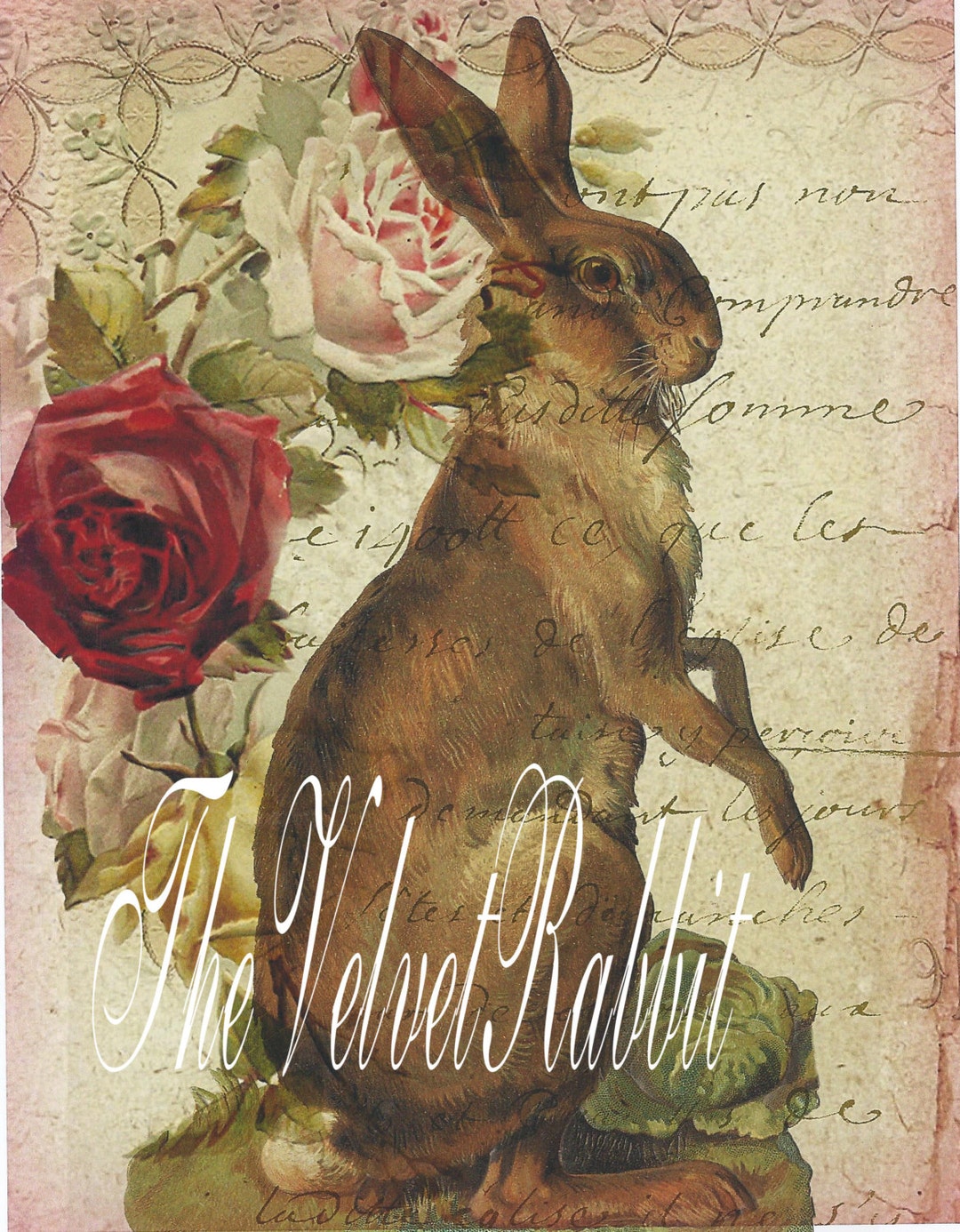 Easter Rabbit on French Script With Roses. 12 Cards With Snow White ...