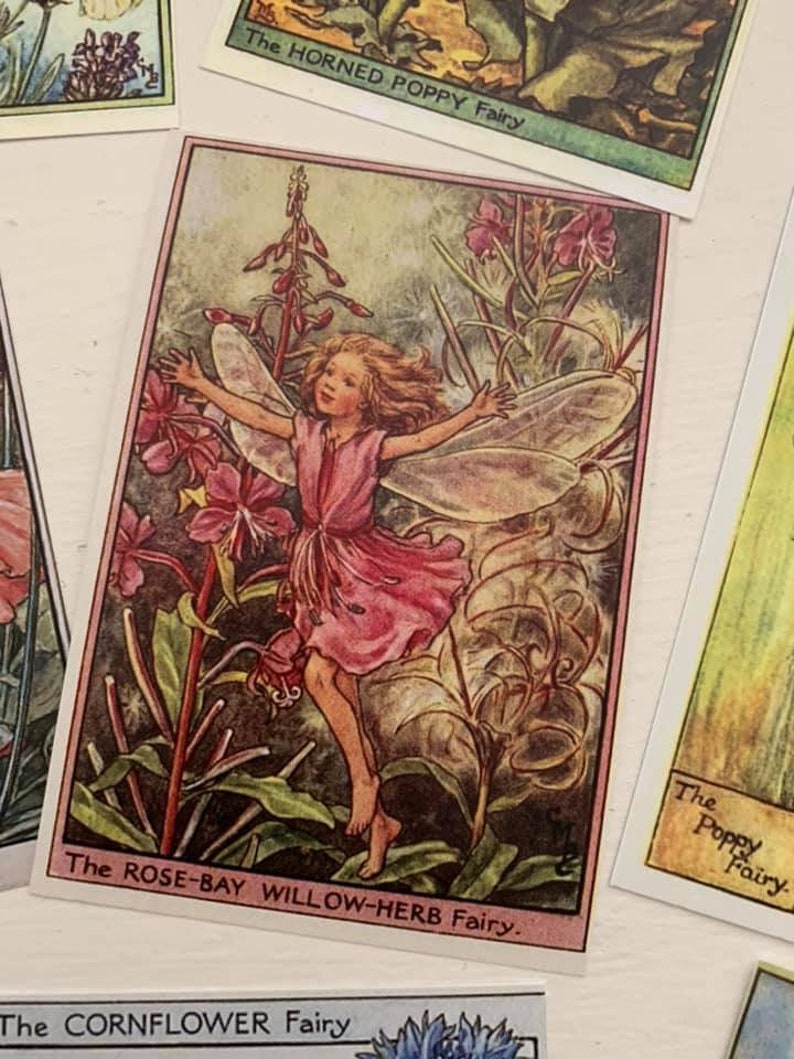 Flower Fairy Postcards*12 Different Characters*vintage Styling*12 ...