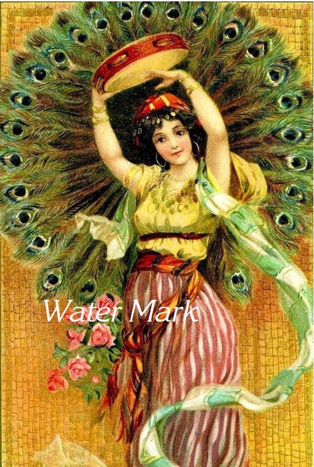 Gypsy Woman Dancing With Tambourine Bird of Paradise ...