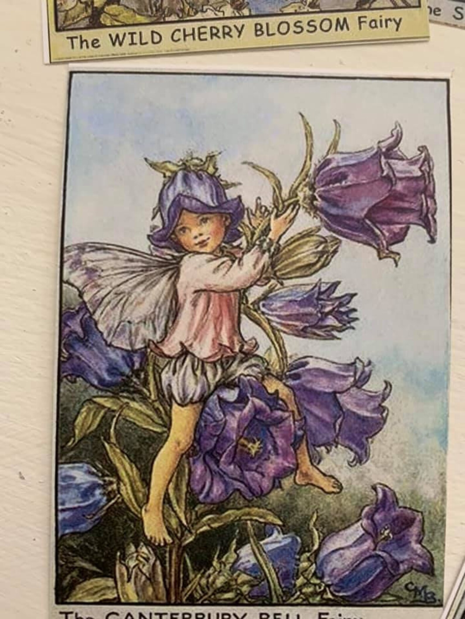 Flower Fairy Postcards*12 Different Characters*vintage Styling*12 ...