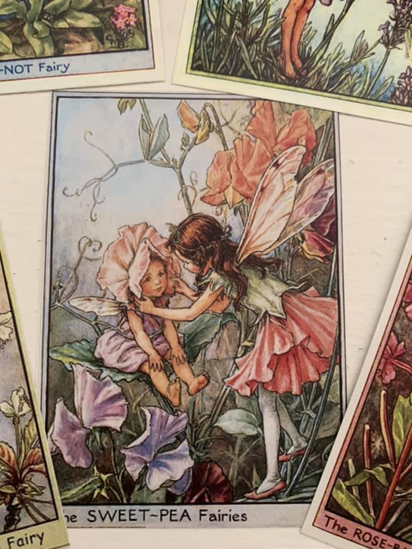 Flower Fairy Postcards*12 Different Characters*vintage Styling*12 ...