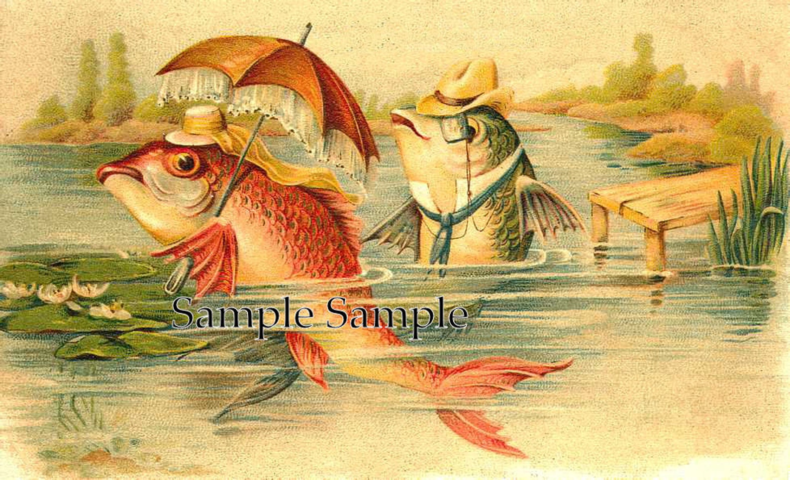 Digital Download Mr.and Mrs. Fish in Pond Vintage Image.rare. | Etsy