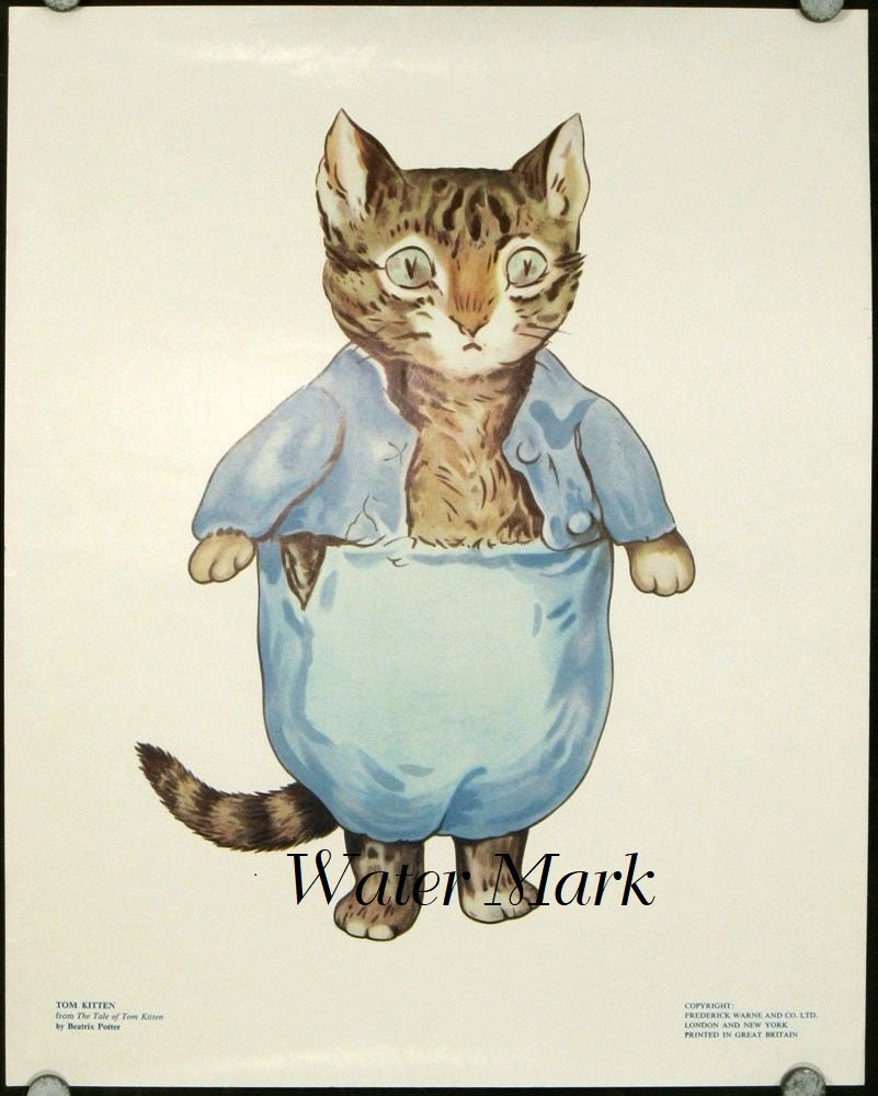 Beatrix Potter Tom Kitten MULTI Sizespillowssachetsdoor Dazzlerfabric ...