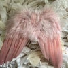 Ballerina Princess ISABELLA Ornamentreal Feather Wingshandmadegerman ...