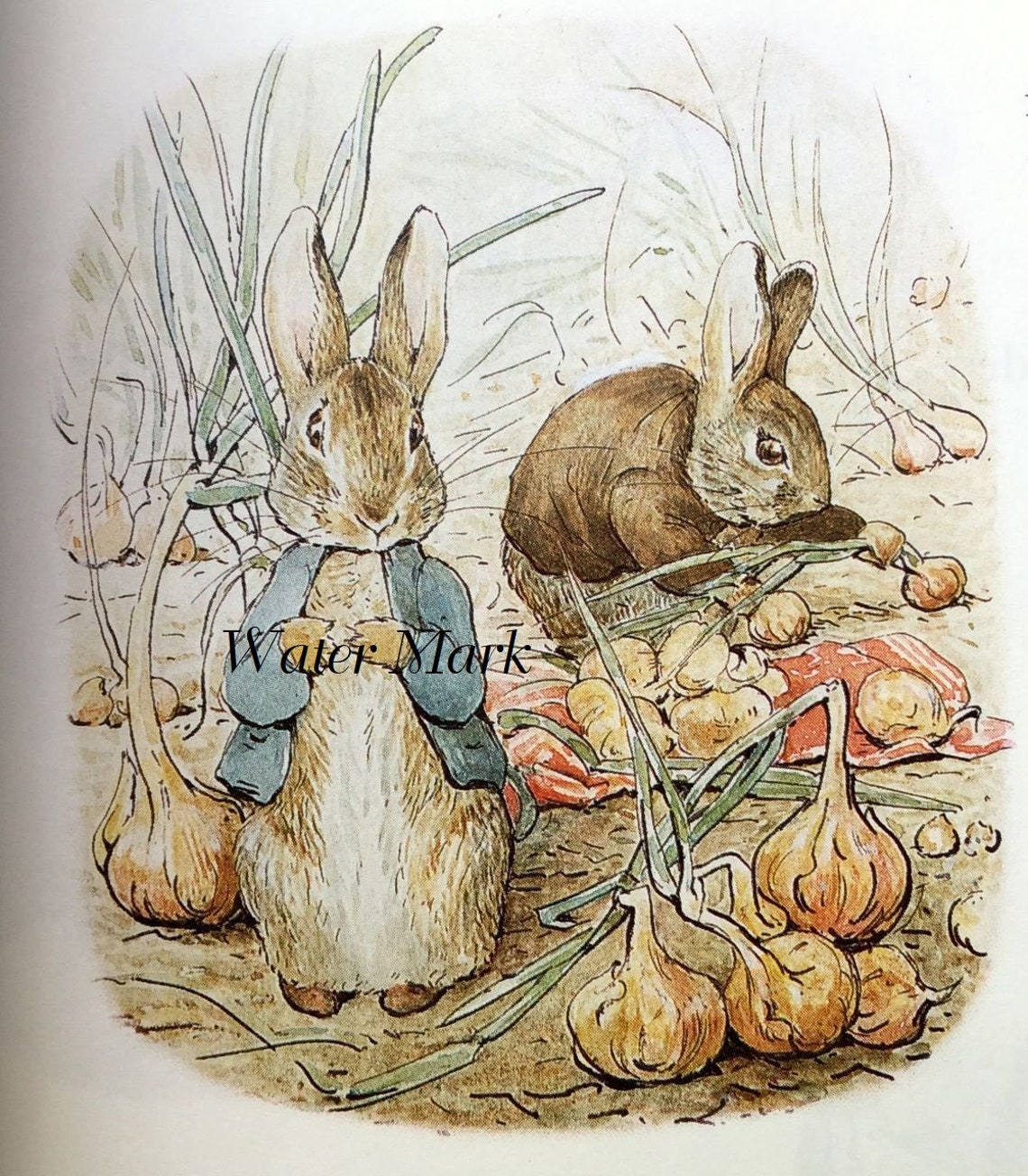 Beatrix Potter Rabbits E With Turnipmulti - Etsy