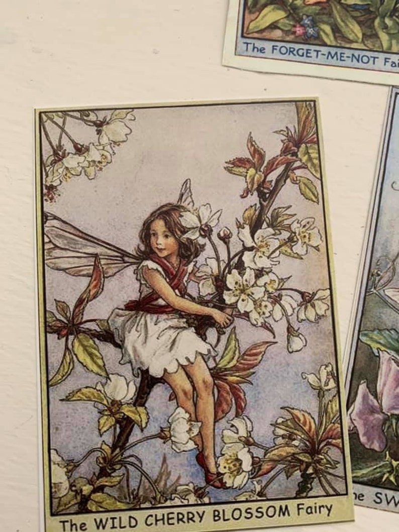 Flower Fairy Postcards*12 Different Characters*vintage Styling*12 ...