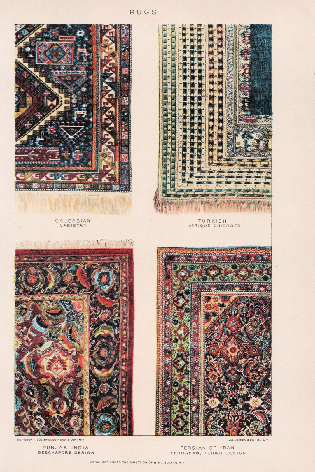 Rugs Wall Art DIGITAL DOWNLOAD Julius Bien 1902 Print Antique Color ...