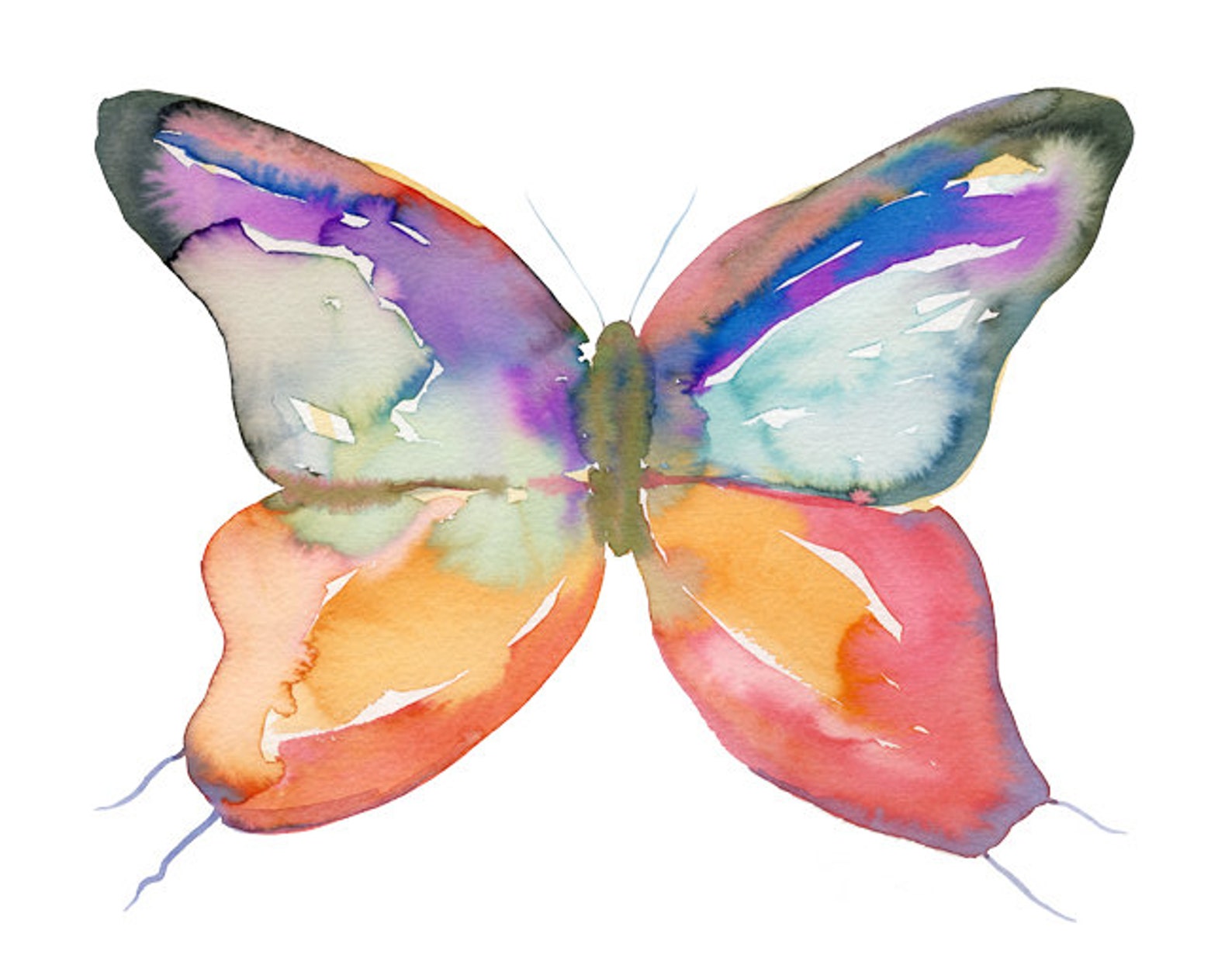 Colorful Butterfly Art Print - 14 X 11 Inch Archival Fine Art Print ...