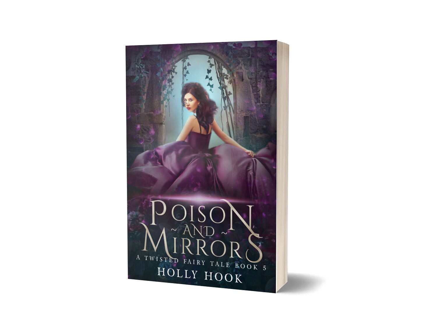 The Twisted Fairy Tale Complete Series Bundle by Holly Hook: A YA ...