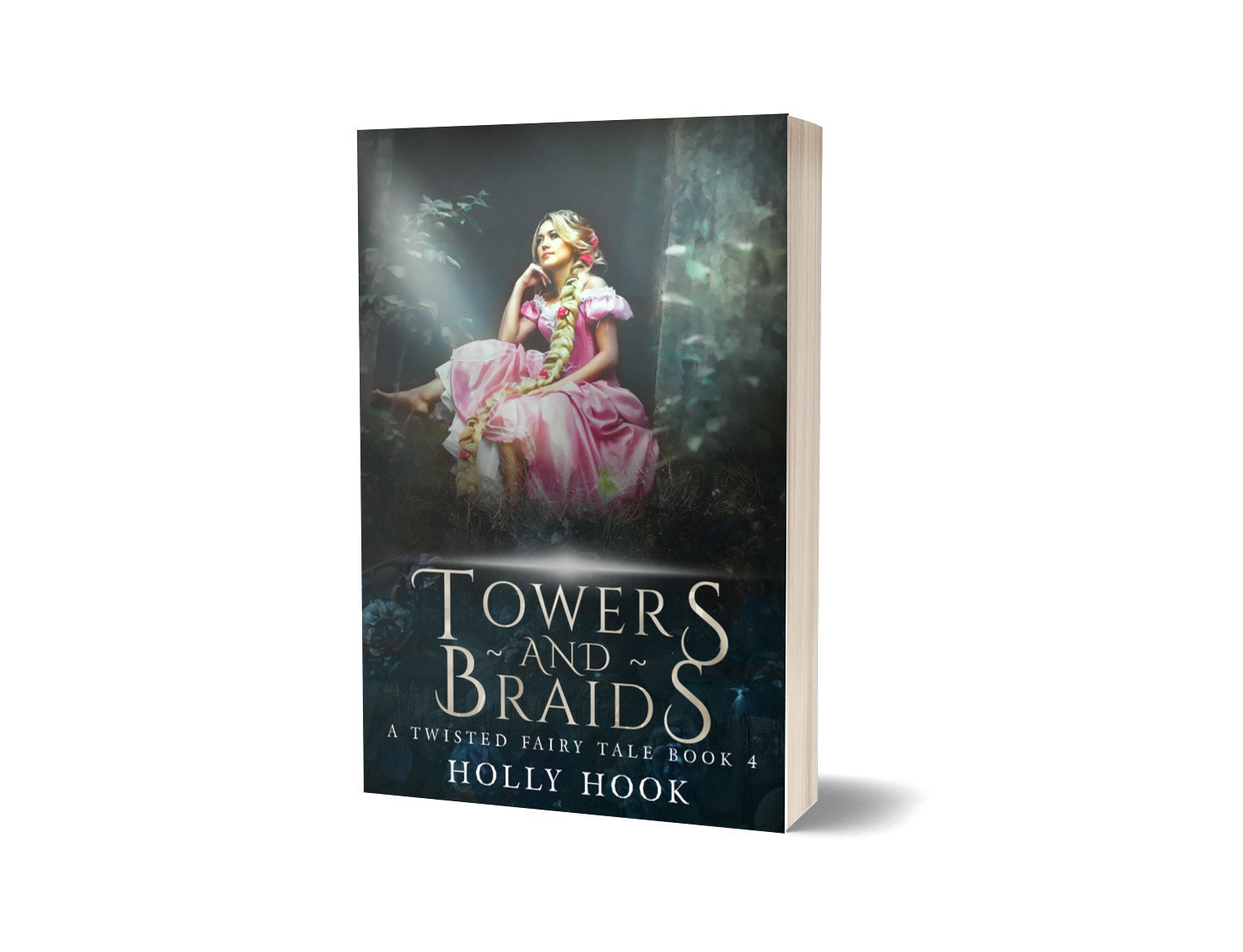 The Twisted Fairy Tale Complete Series Bundle by Holly Hook: A YA Fantasy With Fairytale ...