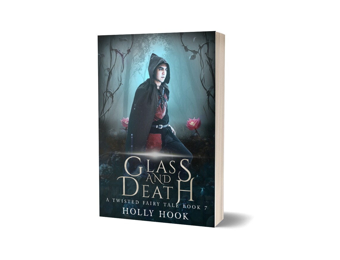 The Twisted Fairy Tale Complete Series Bundle by Holly Hook: A YA Fantasy With Fairytale ...