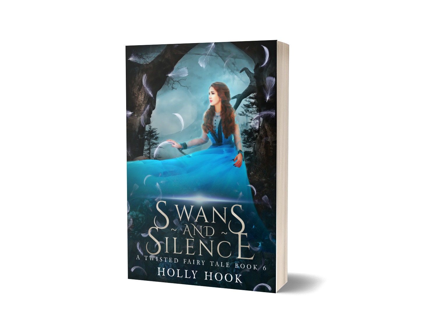 The Twisted Fairy Tale Complete Series Bundle by Holly Hook: A YA ...