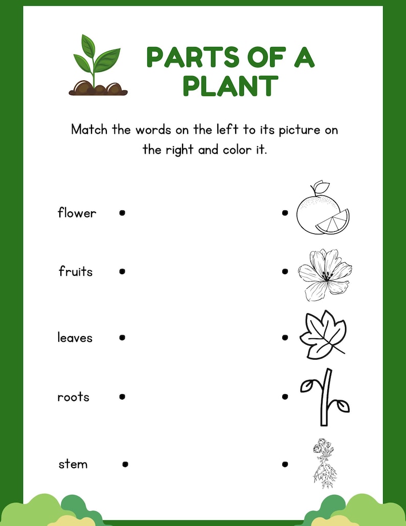 Grade 1: Parts of a Plant Worksheets - Science Activities PDF - Etsy Canada