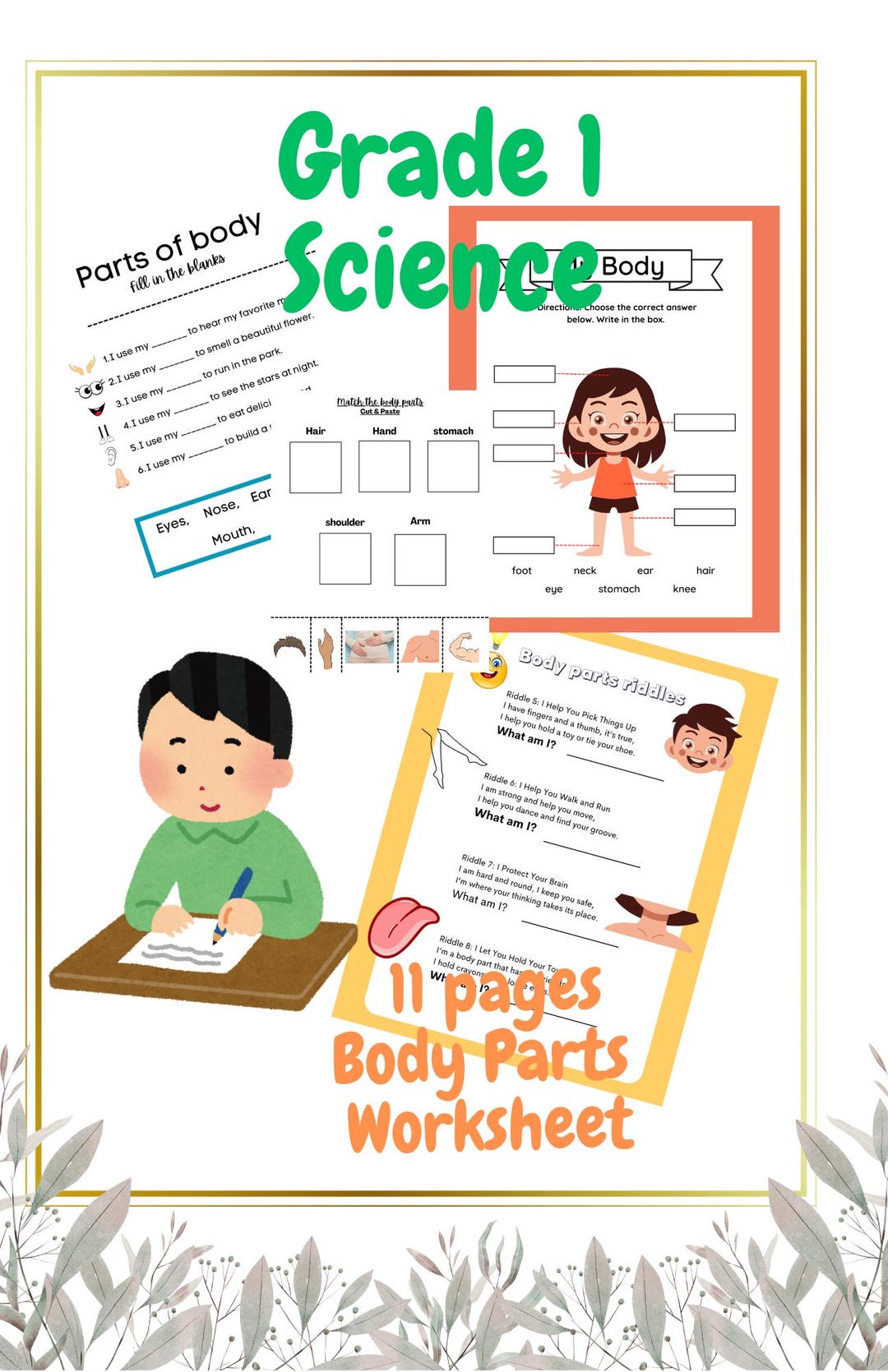Grade 1: Body Parts Printable Worksheets for Kids - Etsy