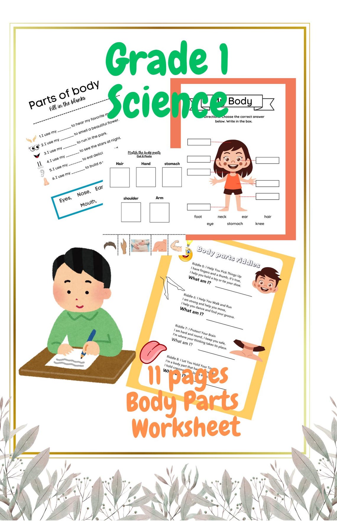 Grade 1: Body Parts Printable Worksheets for Kids - Etsy