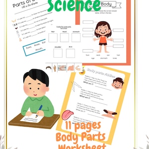 Grade 1: Body Parts Printable Worksheets for Kids - Etsy