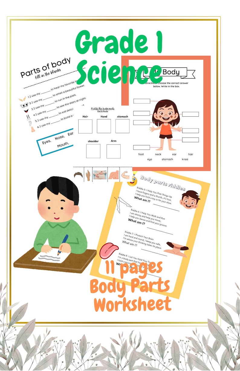 Grade 1: Body Parts Printable Worksheets for Kids - Etsy