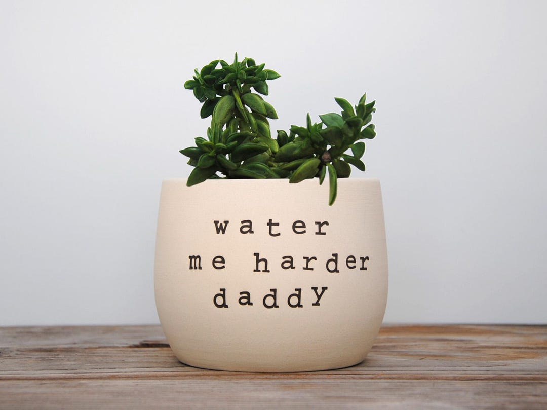 Water Me Harder Daddy. White Pot With Dirty Humor. - Etsy