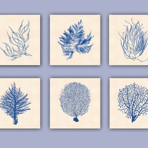 Sea Fan Art Prints, Ocean Seafan Print, Sealife Nautical Art, Blue Sea ...