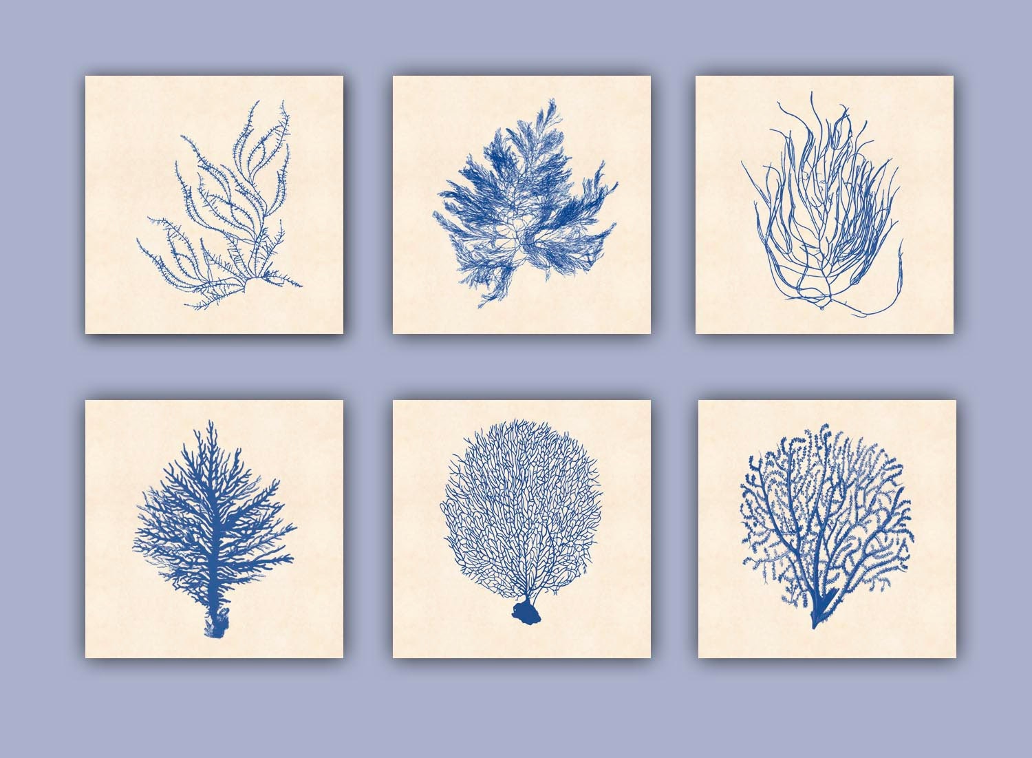 Sea Fan Art Prints Ocean Seafan Print Sealife Nautical Art - Etsy