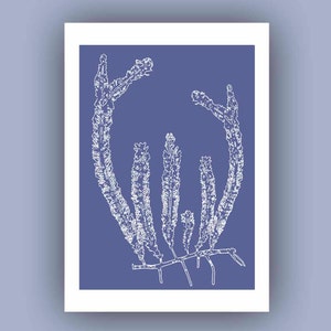 Cyanotype Impressions, Ocean Pressed Seaweed Print, Blue Sea Grass Set ...
