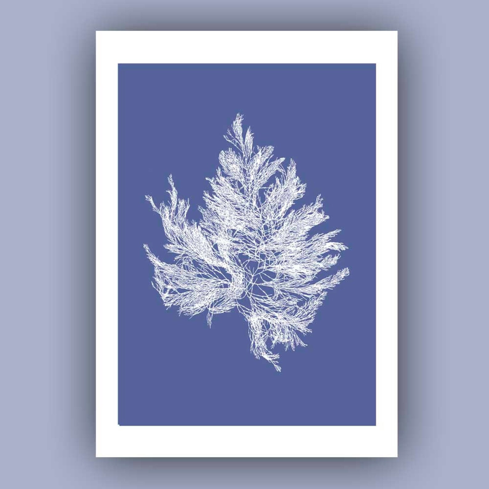 Cyanotype Impressions, Ocean Pressed Seaweed Print, Blue Sea Grass Set ...