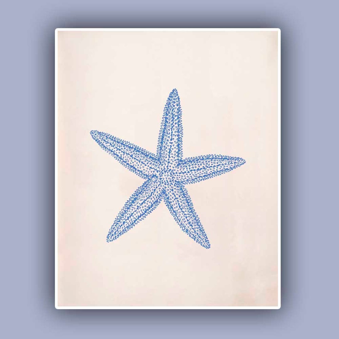 Blue Starfish Print, Sea Star 8x10 Print, Marine Wall Decor, Nautical ...