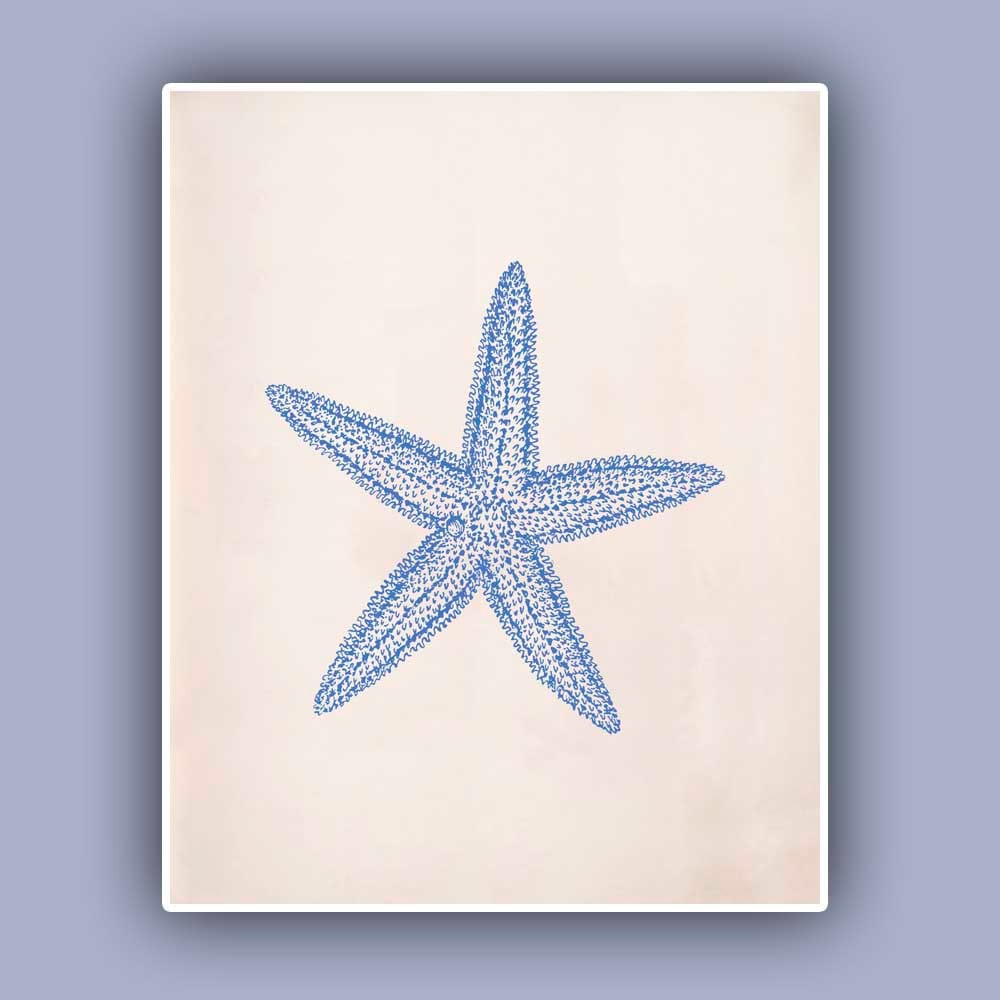Blue Starfish Print, Sea Star 8x10 Print, Marine Wall Decor, Nautical ...